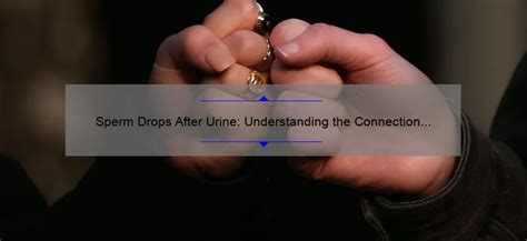 Sperm Drops After Urine Understanding The Connection Between Pee And Fertility Sperm Blog