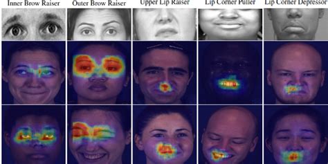 Multi View Dynamic Facial Action Unit Detection Biomedical Computer