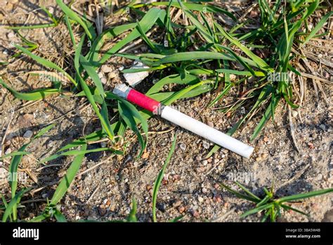 A Cigarette Carelessly Lying In The Grass Highlighting The Serious