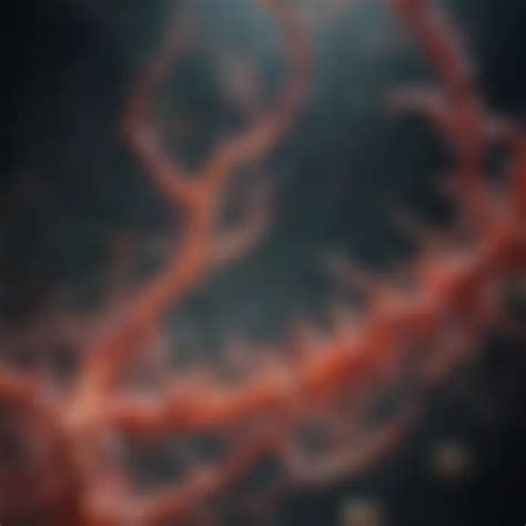 Understanding Alpha Galactosidase Deficiency And Its Impact