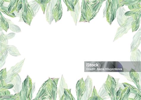 수채화 프레임 카드 녹색은 프리젠 테이션 결혼식 휴일 및 자연 디자인 초대장에 사용하기 위해 식물 스타일로 손으로 그린