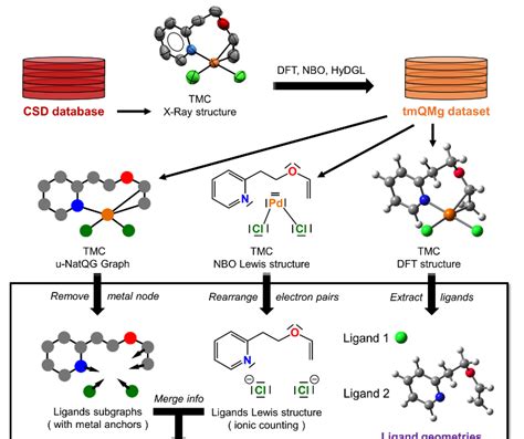 Computational Chemistry Highlights Evolutionary Multiobjective Optimization Of Multiligand