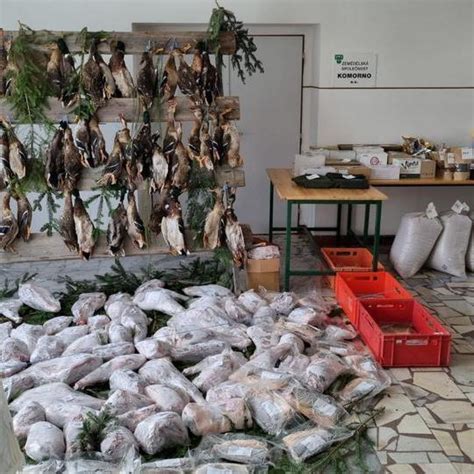 Myslivecký Ples 2023 Oficiální Stránka Obce Chocenice