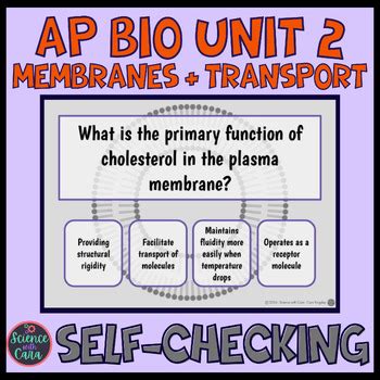 AP Bio Unit 2 Membrane Transport And Membrane Permeability Review Cards