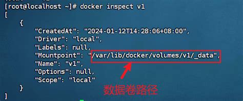 docker进阶数据卷目录挂载及在线部署