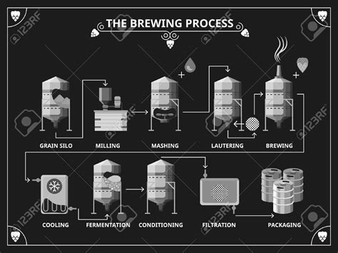 The Brewery Process Infographics Artofit