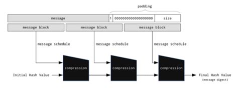 アニメーションで感覚的にハッシュ関数「sha 256」の算出過程を理解できる「sha 256 animation」 gigazine