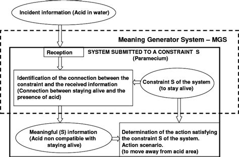 Figure 1 From A Computation On Information Meaning And