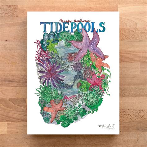 Pacific Northwest Tidepool Illustrated Watercolor Art Print Etsy