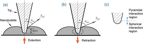 Schematic Of Afm Tip Nanobubble Interaction During Extension A And Download Scientific