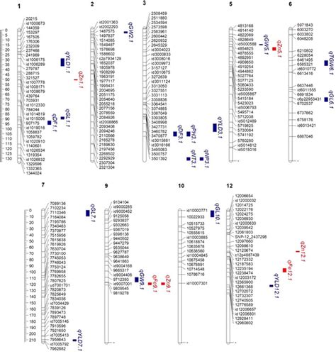 Qtls Identified For Agronomic Traits And Grain Micronutrient Download Scientific Diagram