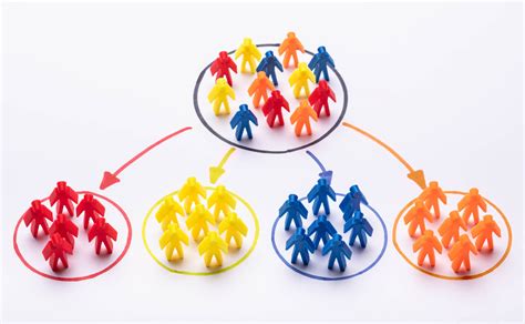 Customer Segments