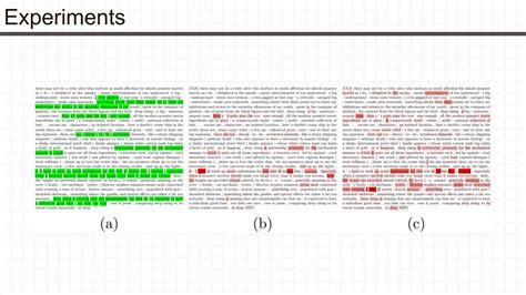 2021 03 02 Transformer Interpretability Ppt