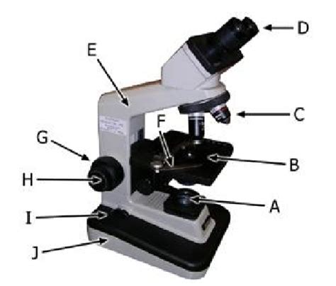 Microbiology LAB Exam Flashcards Quizlet