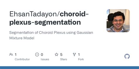Github Ehsantadayonchoroid Plexus Segmentation Segmentation Of