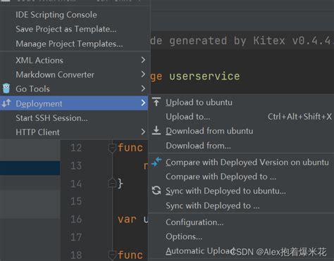 Kitex Gorm Gen Hertz 快速写出一个基于go的微服务hertz框架微服务搭建 Csdn博客