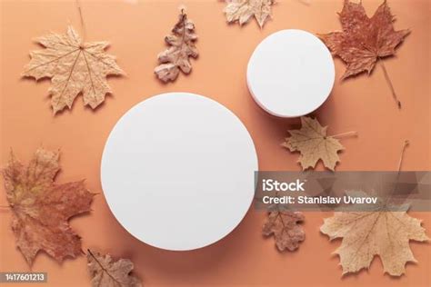 가을 단풍이있는 최소한의 화장품 배경 하얀 둥근 연단이 흐릿한 투명하고 잔잔한 물 표면에 스플래시 및 거품이있는 대리석 질감이 있습니다 10월에 대한 스톡 사진 및 기타