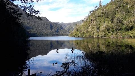 Parque Nacional Alerce Andino Puerto Montt 2021 Qué Saber Antes De