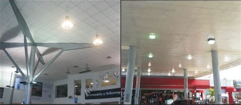 Stubby Corn Light Cld Inc