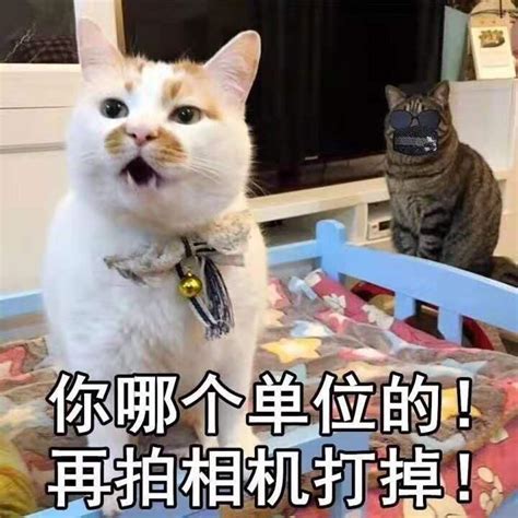 Matlab中cell数组用法 知乎