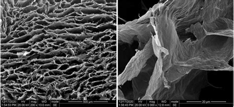 Highly Elastic Graphene Aerogel Stanford Advanced Materials
