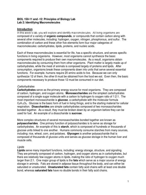 Lab 2 Identifying Macromolecules Pdf Dna Nucleic Acids