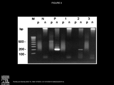 Fertility And Sterility Ppt Download