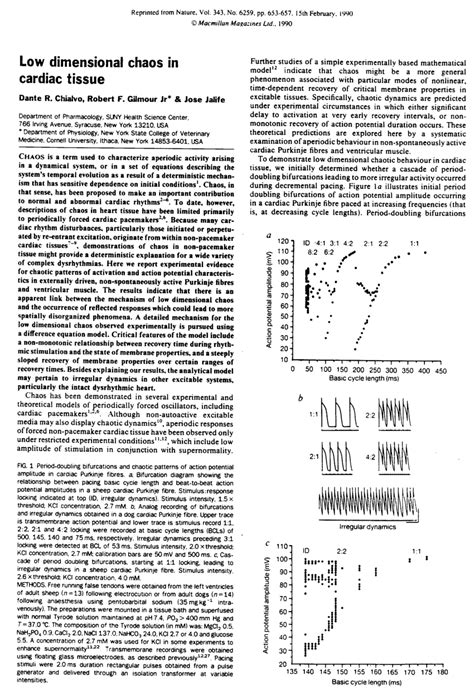 Pdf Low Dimensional Chaos In Cardiac Tissue