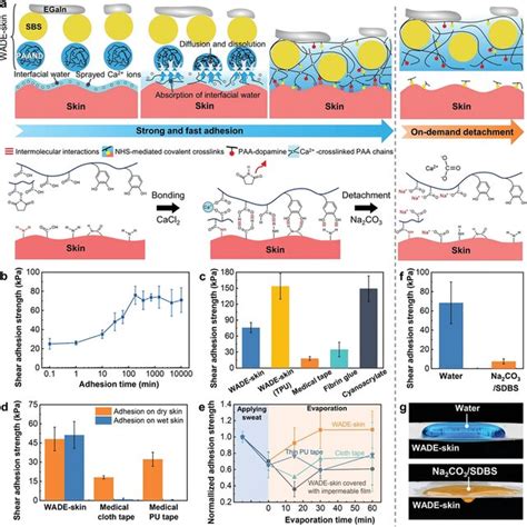 Zijian Zheng Associate Professor Phd The Hong Kong Polytechnic University Hong Kong