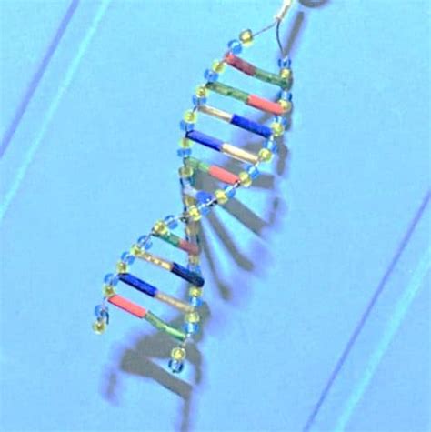 生物基礎DNAの二重らせん構造と遺伝情報を担う塩基配列 せいぶつ農国