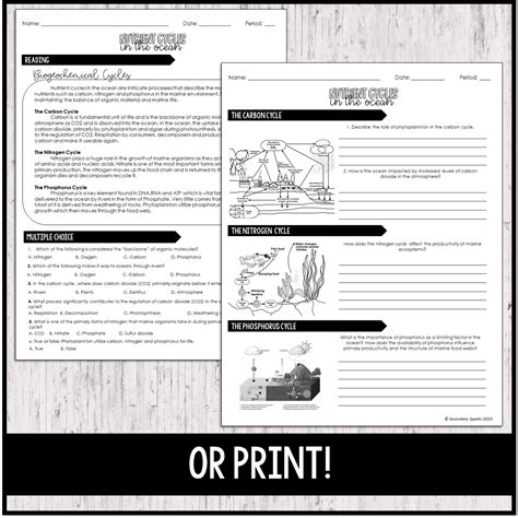 Nutrient Cycles Worksheet Nitrogen Cycle Worksheets