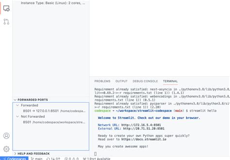 Development On Github Codespace Random Streamlit