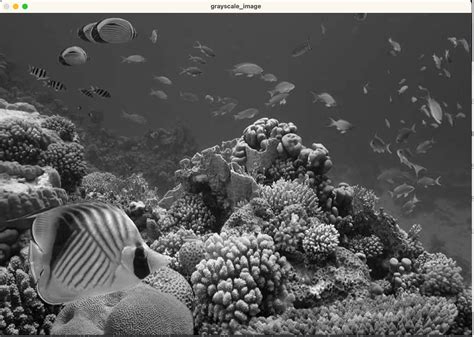 Programming For Beginners Opencv Compute Histogram For Pixel Intensities In A Grayscale Image
