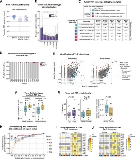Tissue Resident Memory And Circulating T Cells Are Early Responders To Pre Surgical Cancer