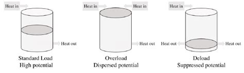 Halalopathy Role Of Entropy In The Aging Process