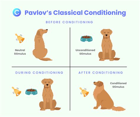 The Handy Behavioral Learning Theory Guide Master Behavior