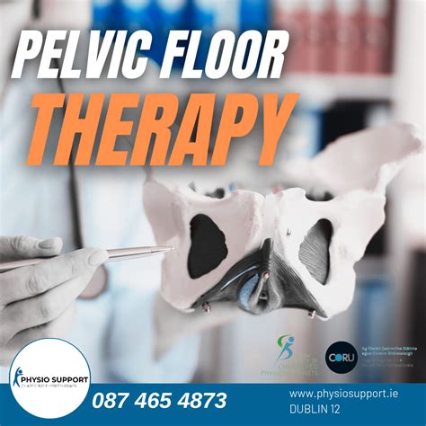 Physio 📍 What Is Pelvic Physical Therapy Pelvic Floor Dysfunction