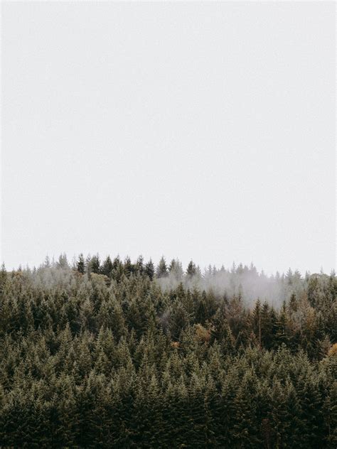 Rabbitmq Vs Kafka A Comparative Overview Level Up Coding