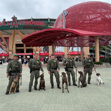 Ocsd Bomb Squad Ocsdbombsquad • Instagram Photos And Videos