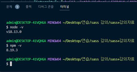 Npm 설치