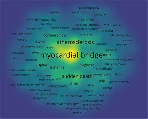 Keywords Density Visualization Of The Myocardial Bridge Download Scientific Diagram