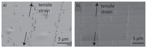 Scanning Electron Microscope Sem Overview Of The Fractured Samples Download Scientific