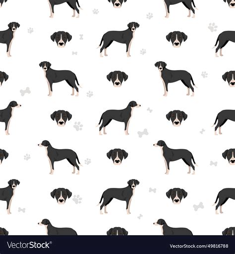 Stephens Cur Seamless Pattern All Coat Colors Set Vector Image