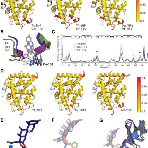 Md Simulations Support Ligand Binding Pocket Hydrogen Bonding