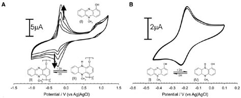 Electrochemical Detection Of Pyocyanin As A Biomarker For Pseudomonas