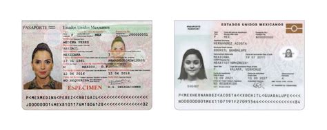Mexican Id Processing How To Read A Mexican Id Card