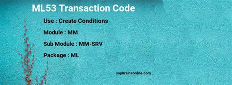 ML53 SAP Tcode For Create Conditions