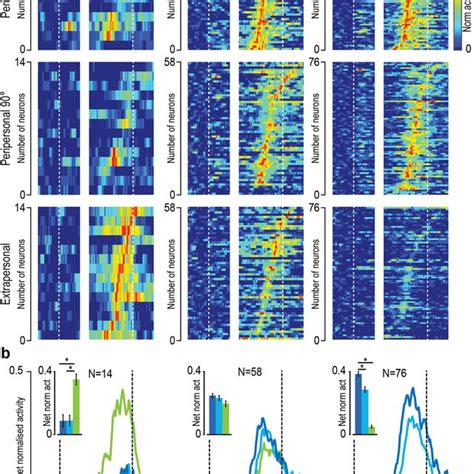 Population Dynamic Of Mns With Different Spatial Selectivity During Download Scientific Diagram