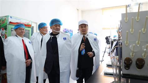 Монгол Улсын Ерөнхийлөгч У Хүрэлсүх үндэсний ууган сүүний үйлдвэр Сүү