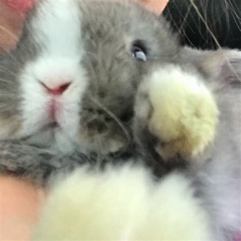 Ruby Da Duby Youtube